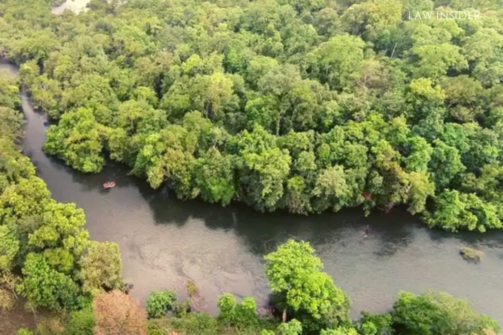 Supreme Court Upholds Definition of Forests from 1996 Godavarman ...